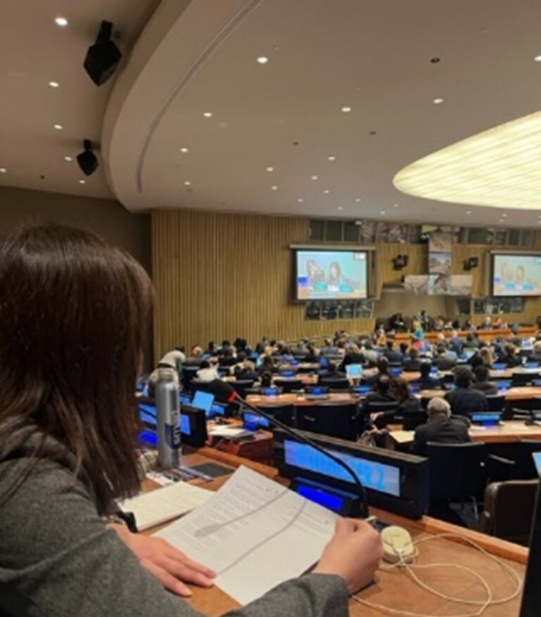 JWF’s Activities in the UN Water Conference – Japan Water Forum