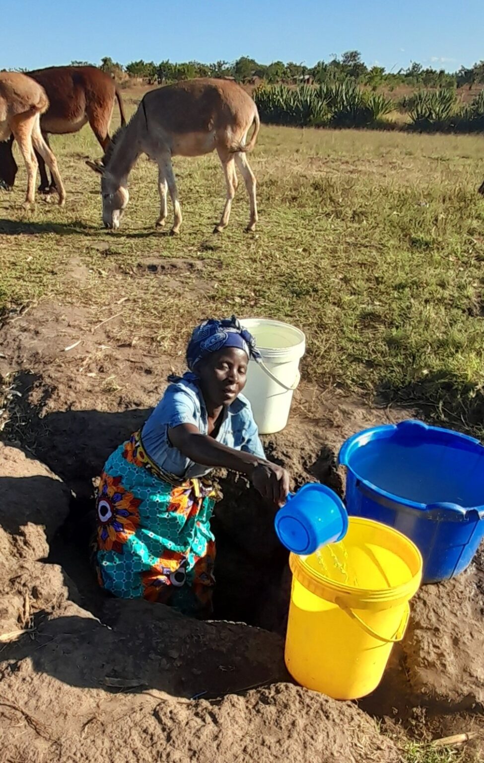 JWF Fund 2024 Recipients Chosen! – Japan Water Forum